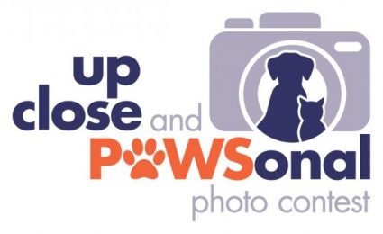 Donate In Memory or In Honor - Homeward Trails Animal Rescue | Pet ...