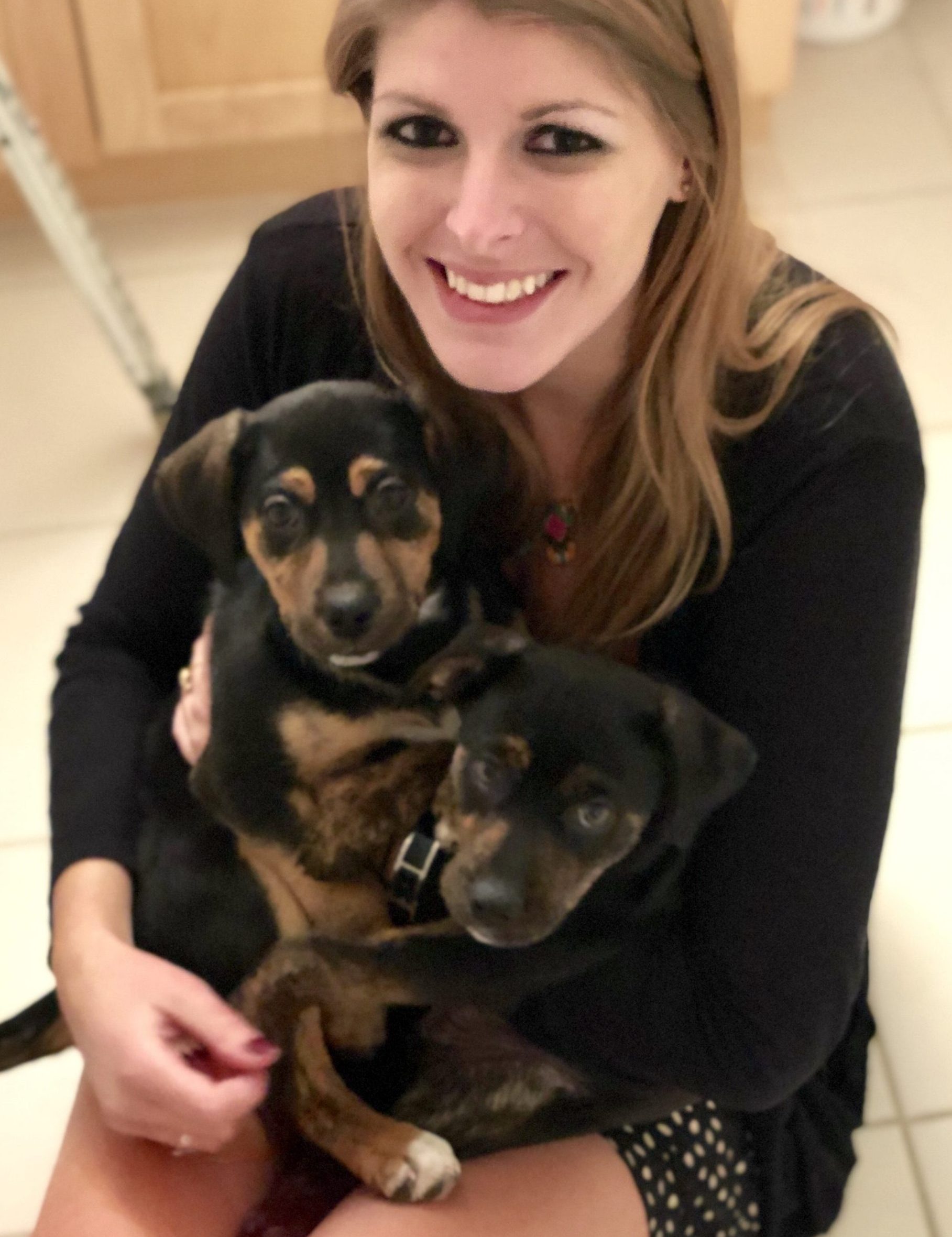 Our Foster Program - Homeward Trails Animal Rescue | Pet Adoption in VA ...