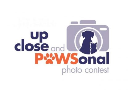 Home - Homeward Trails Animal Rescue | Pet Adoption in VA, DC, MD