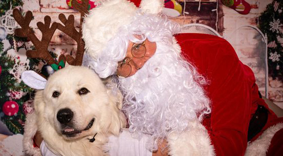 Photos with Santa - Homeward Trails Animal Rescue | Pet Adoption in VA ...