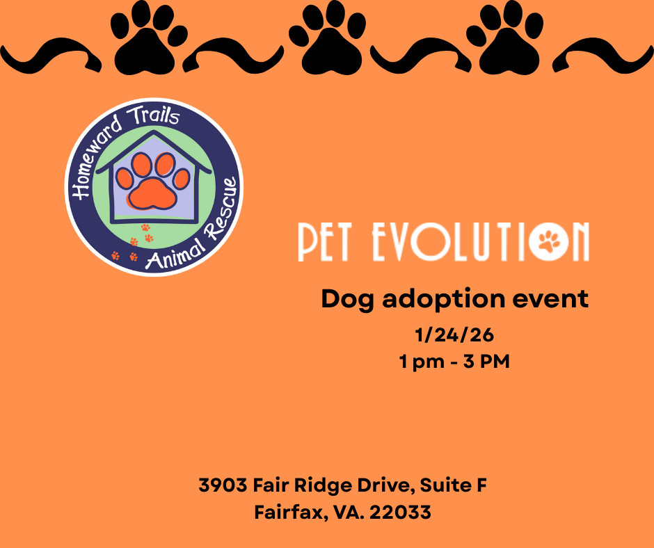 Join us @ Pet Evolution for a Dog Adoption event! - Homeward Trails ...
